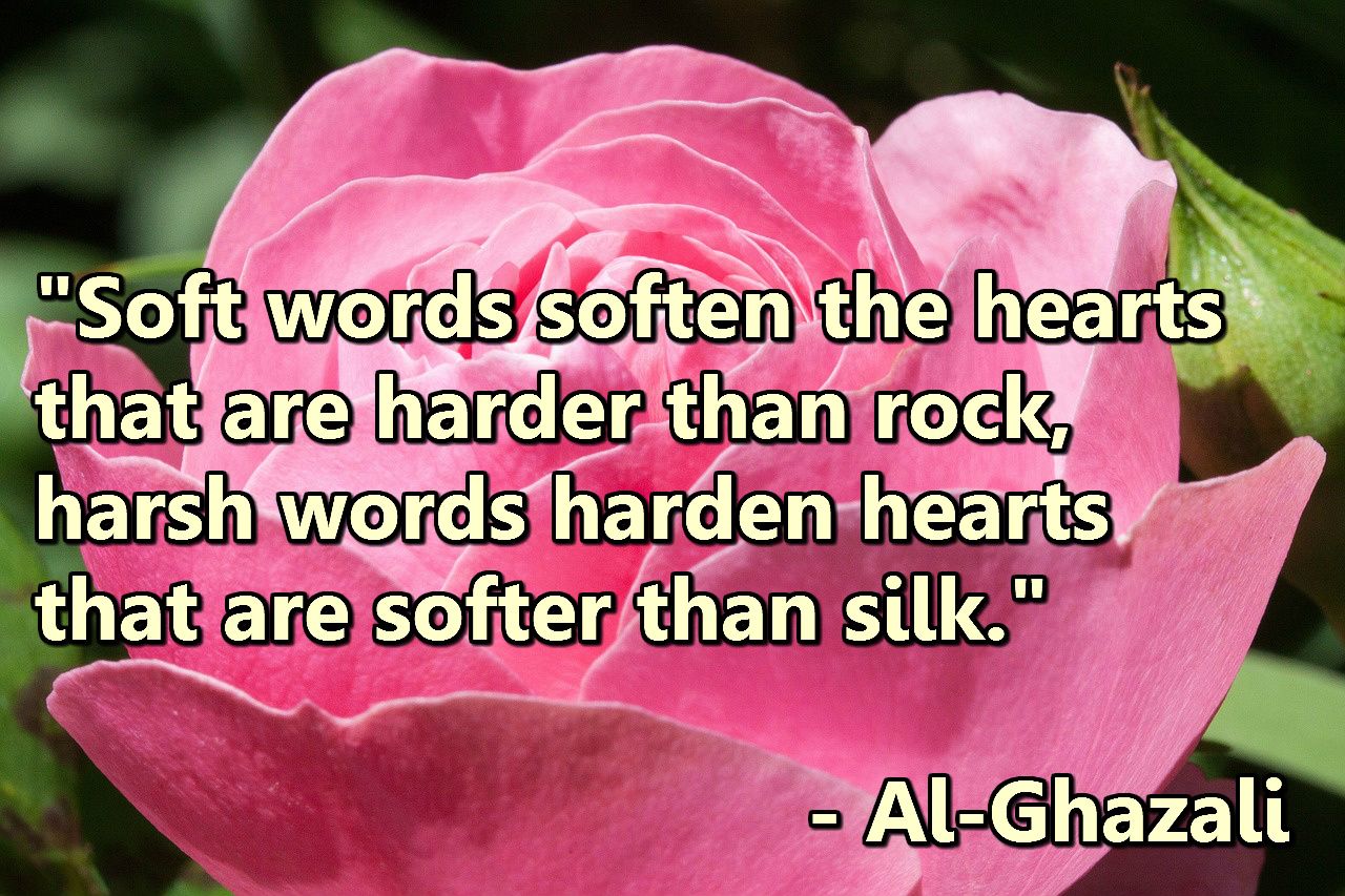 Soft Words Harsh Truth MY SOULITUDE